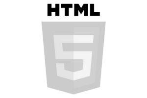 Leading Web Development Agency | Techwebsters