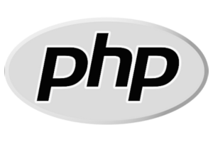 Leading Web Development Agency | Techwebsters